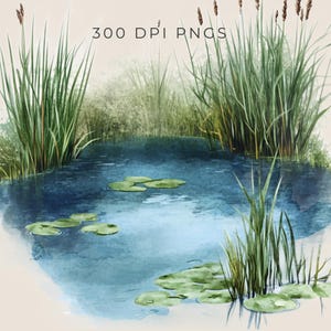 Watercolor Pond Clipart Pack | 300 DPI | Transparent Background | PNG ...