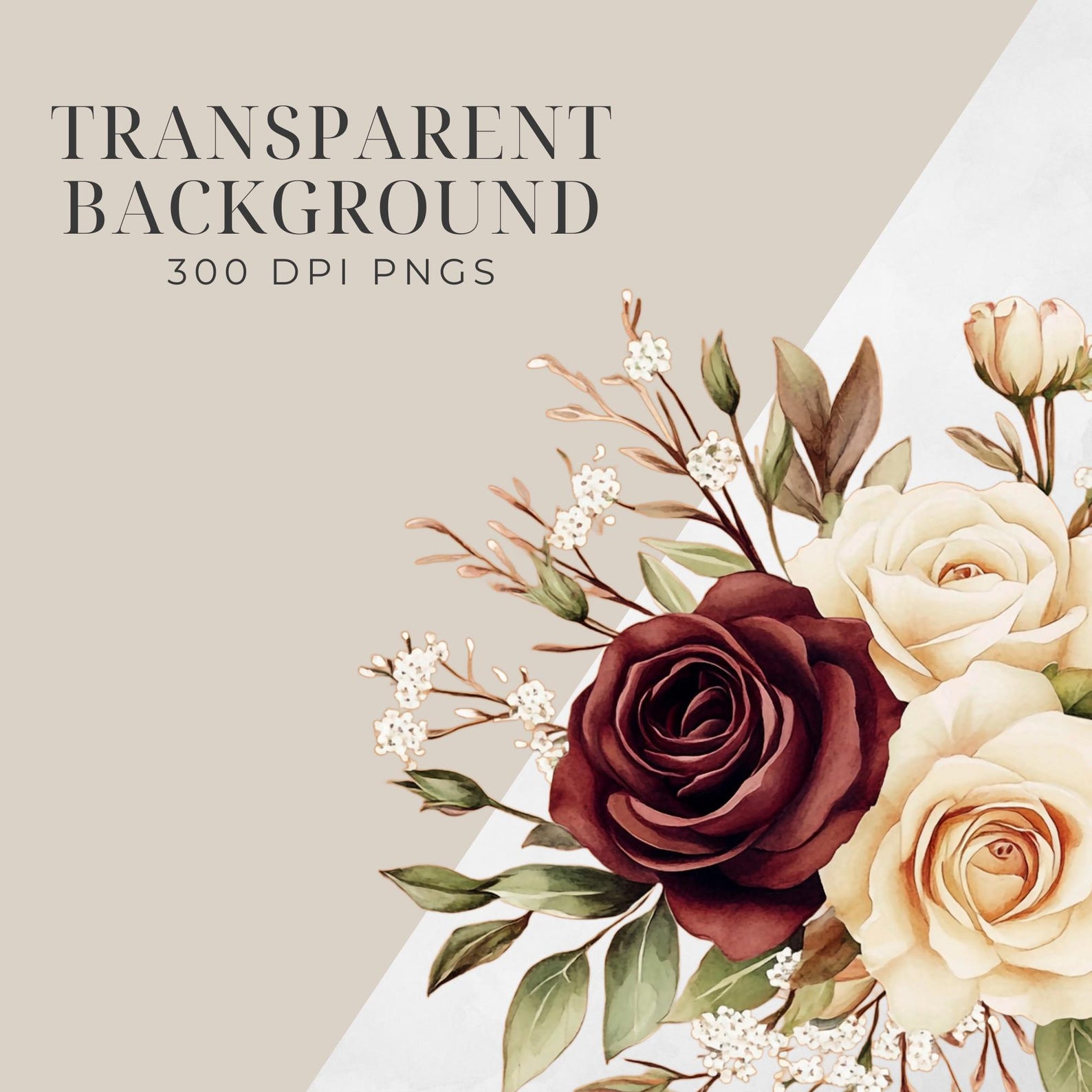 Burgundy and Cream Roses Floral Clipart Pack- 300 DPI - PNG ...