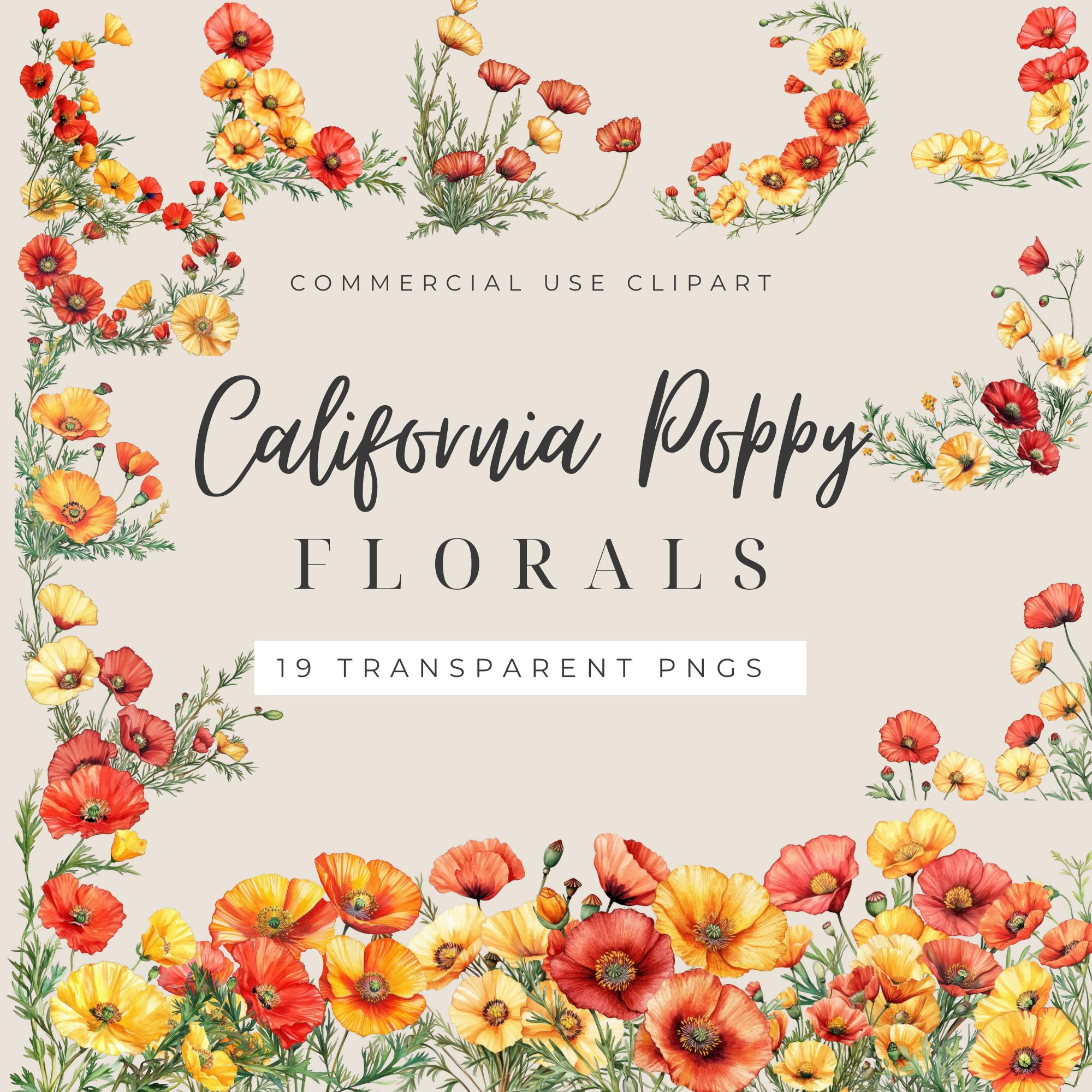 California Poppy Clipart, Watercolor Floral PNG, Wildflower Bouquet ...