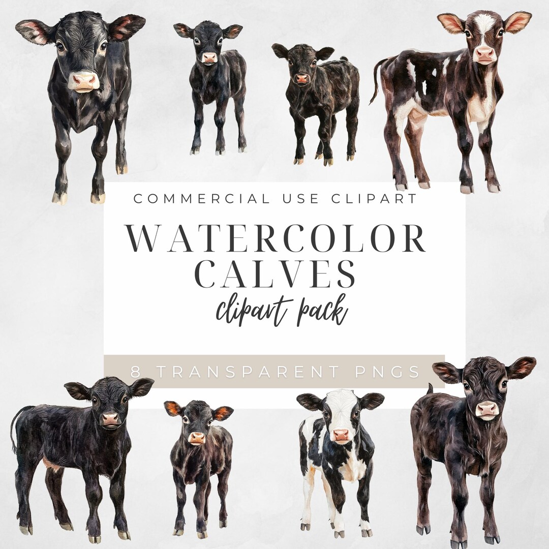 Watercolor Baby Calf Clipart Bundle Farm Animal Pngs for Sublimation ...