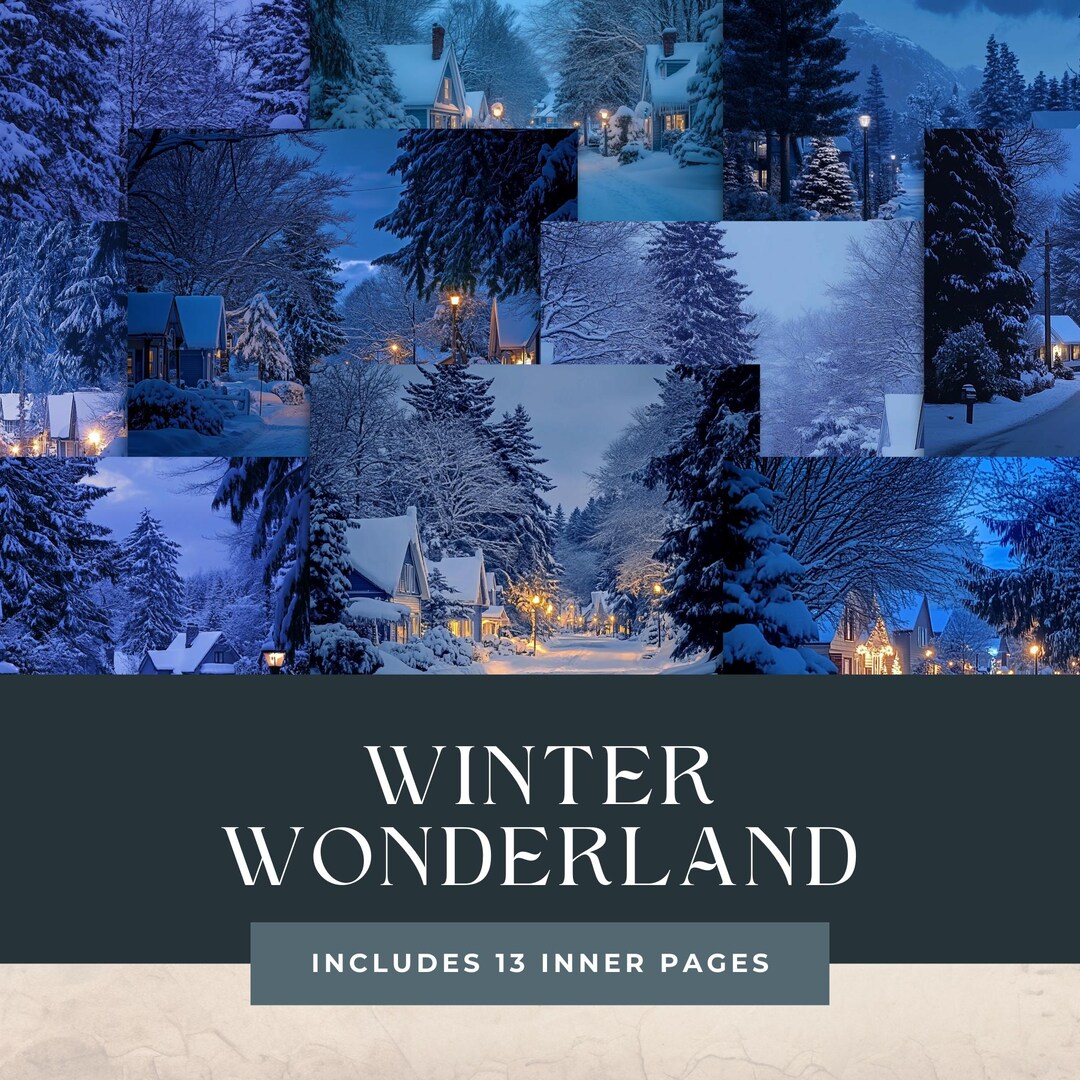 Winter Wonderland Digital Paper Pack - 13 Snowy Night Backgrounds ...