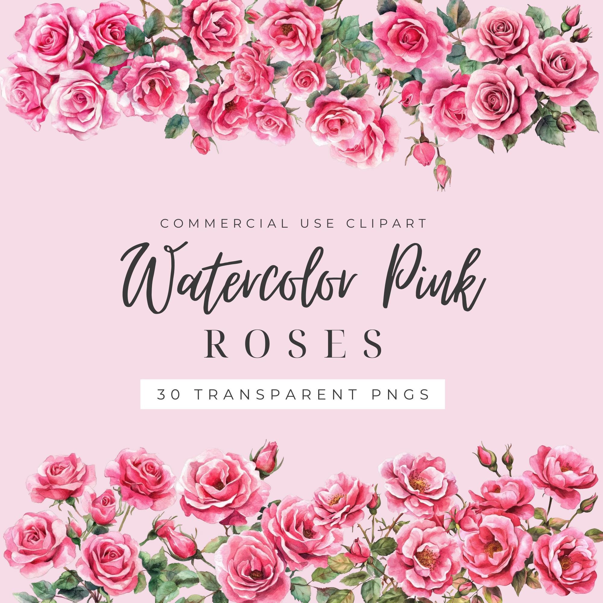 Watercolor Pink Roses Clipart, Floral Bouquet PNG, Hand Painted Style ...