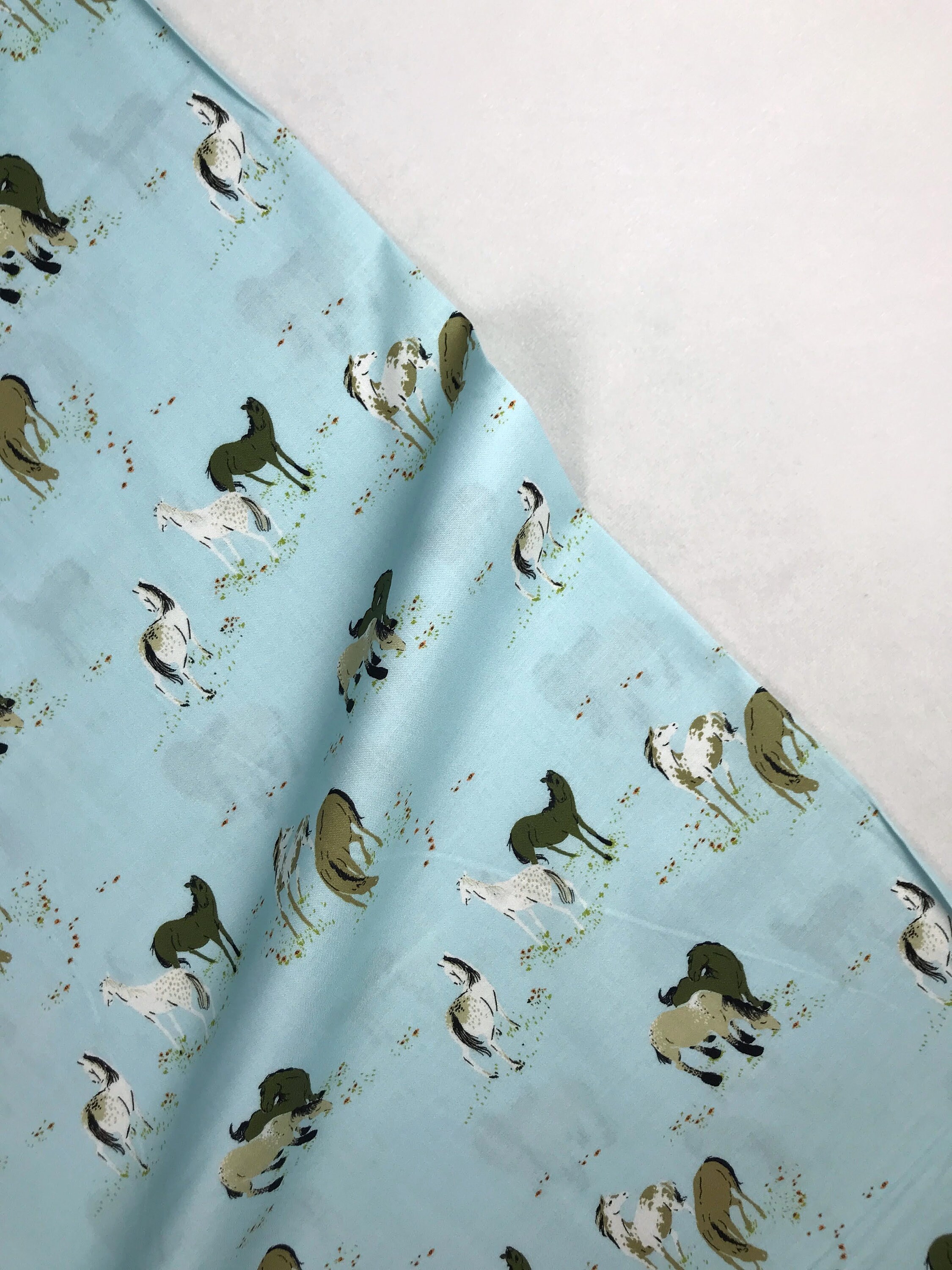 Anna Kooiman Body Measurements