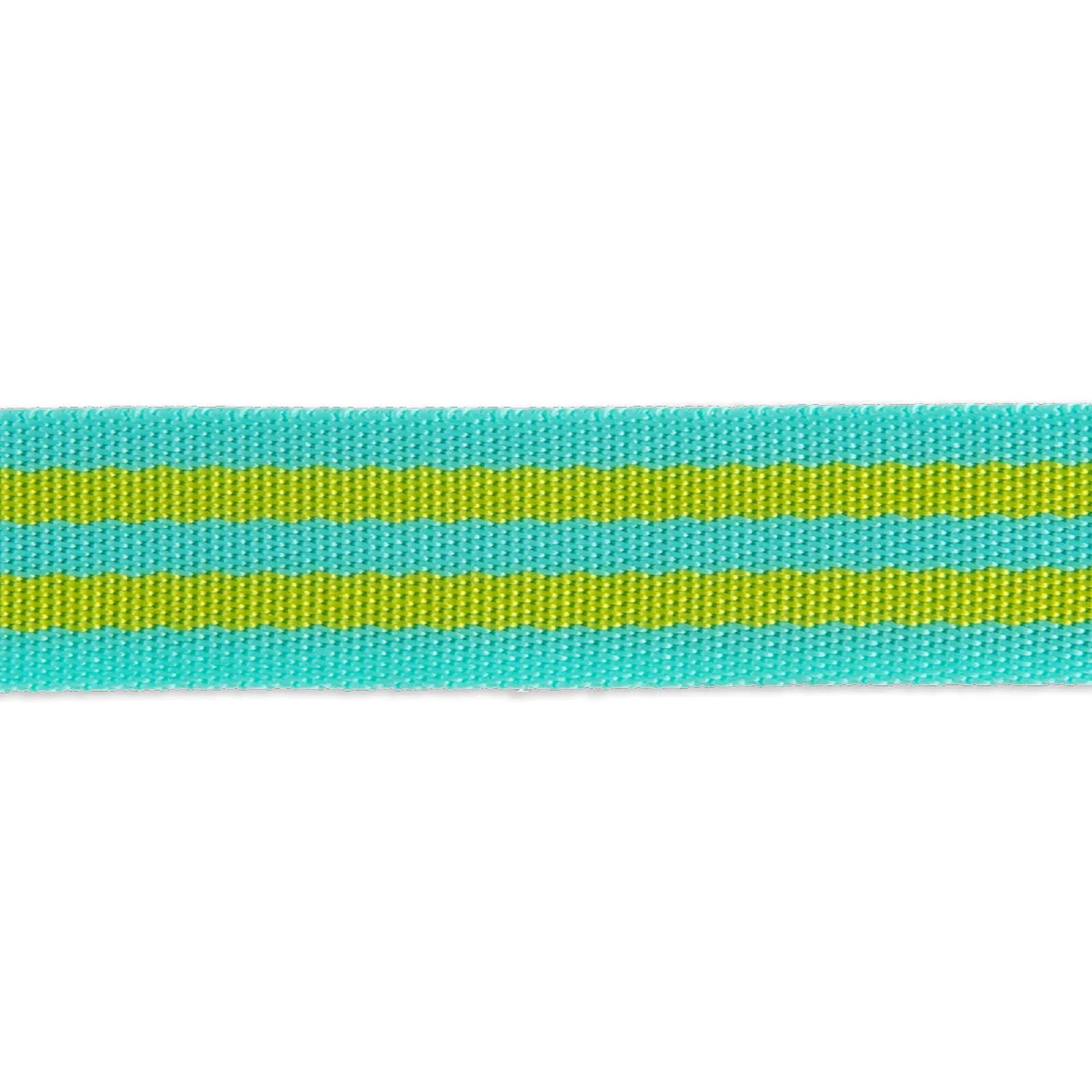 Tula Pink Nylon Webbing 1 Inch 25.4mm Lime Turquoise - Etsy