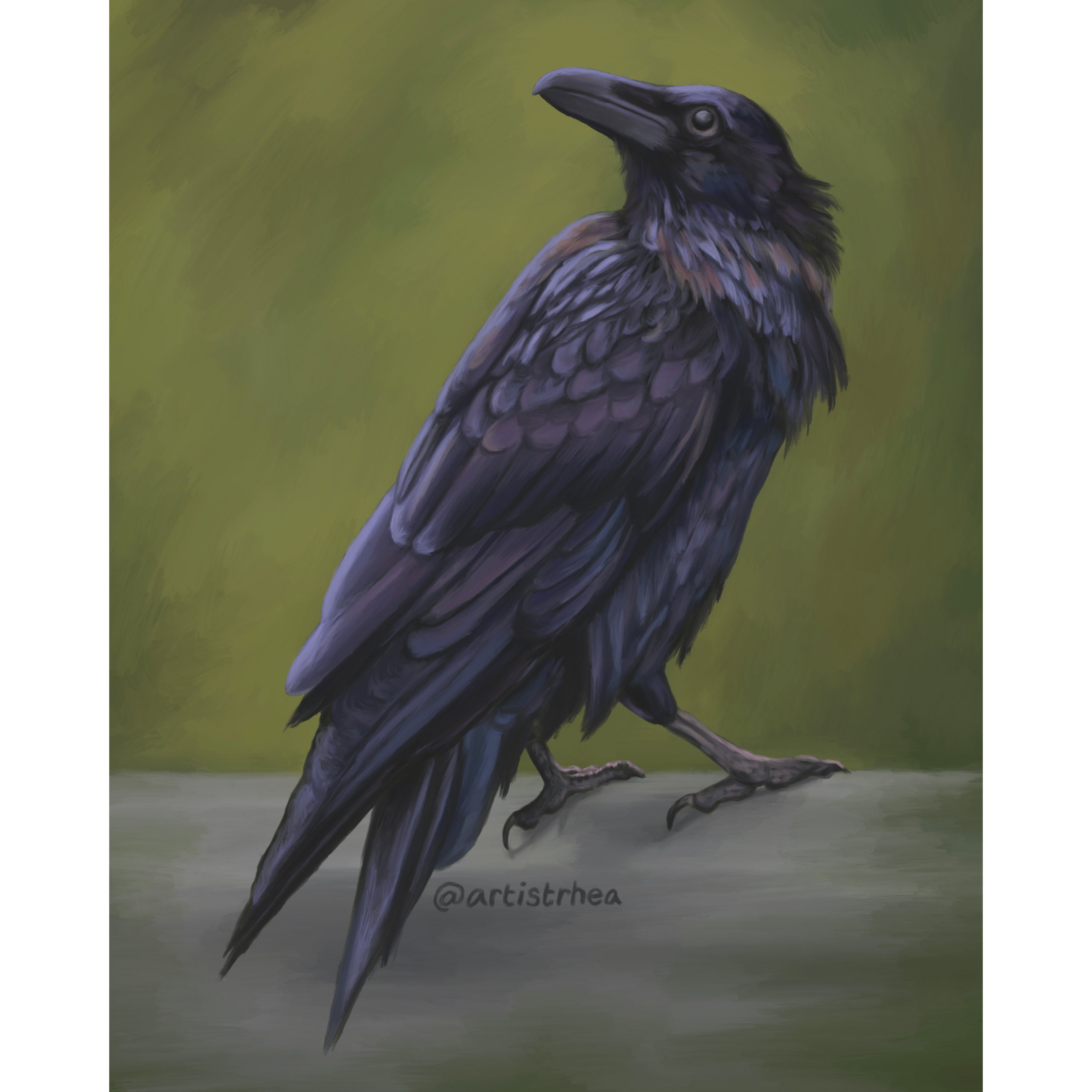 Raven Art Print 8x10 - Etsy