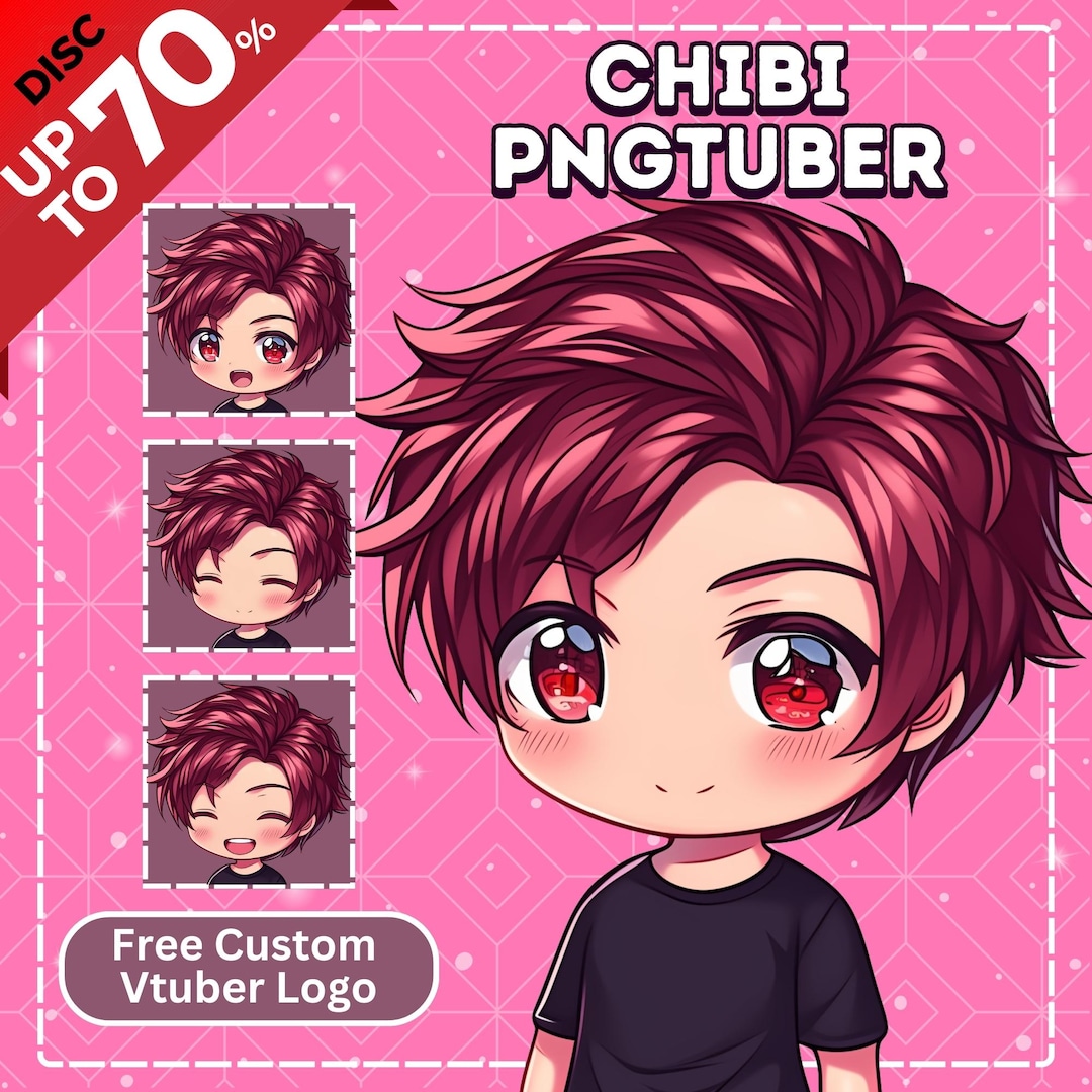 Custom Pngtuber Chibi, Pngtuber Model, Chibi Emotes, Discord Twitch ...