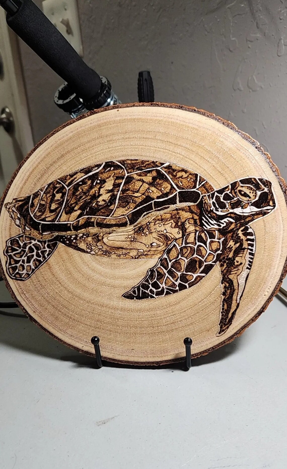 Loggerhead Sea Turtle Pyrography - Etsy