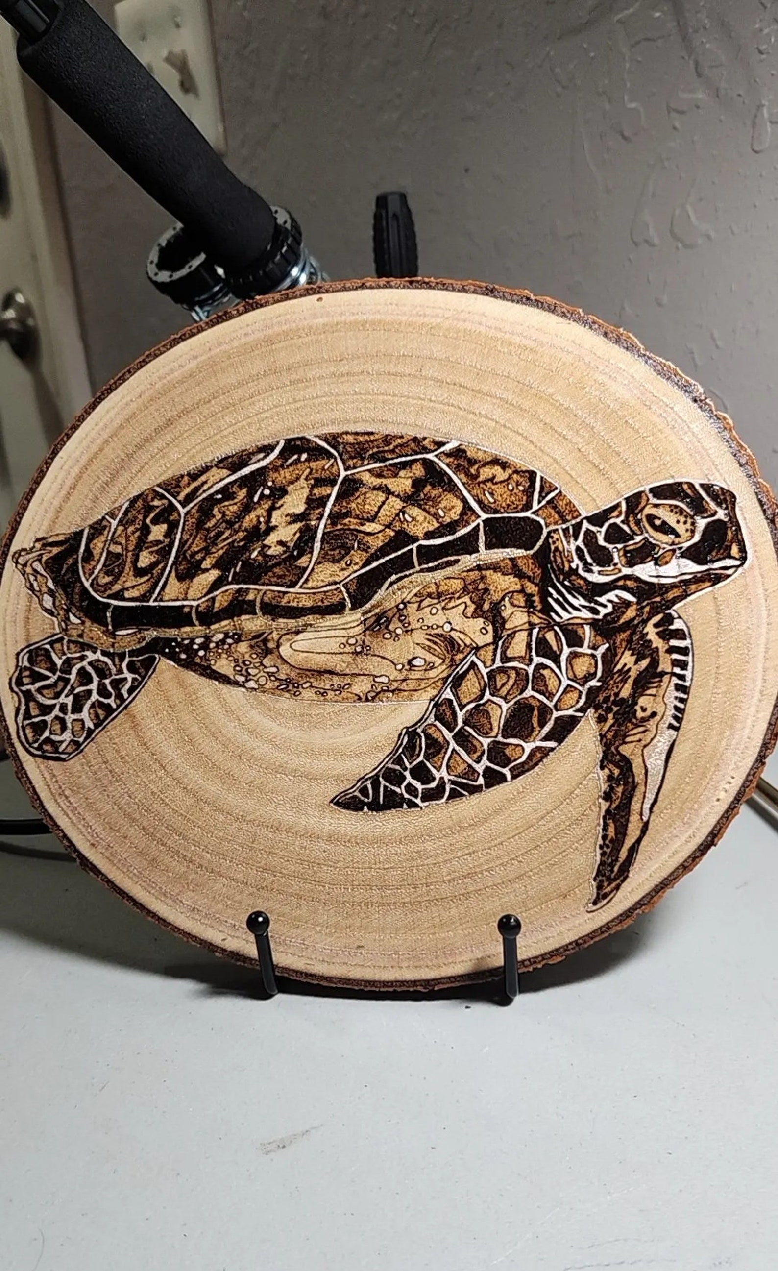 Loggerhead Sea Turtle Pyrography - Etsy