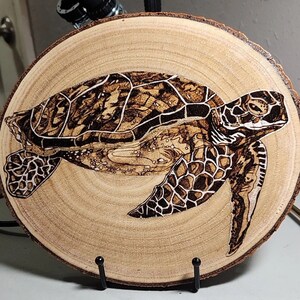 Loggerhead Sea Turtle Pyrography - Etsy