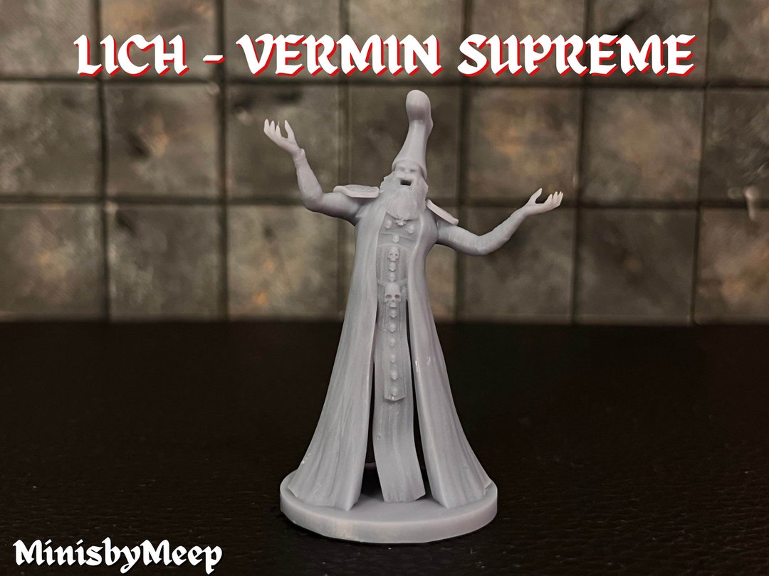 D&D Miniature Lich Vermin Supreme Single Figure Dungeons and Dragons ...