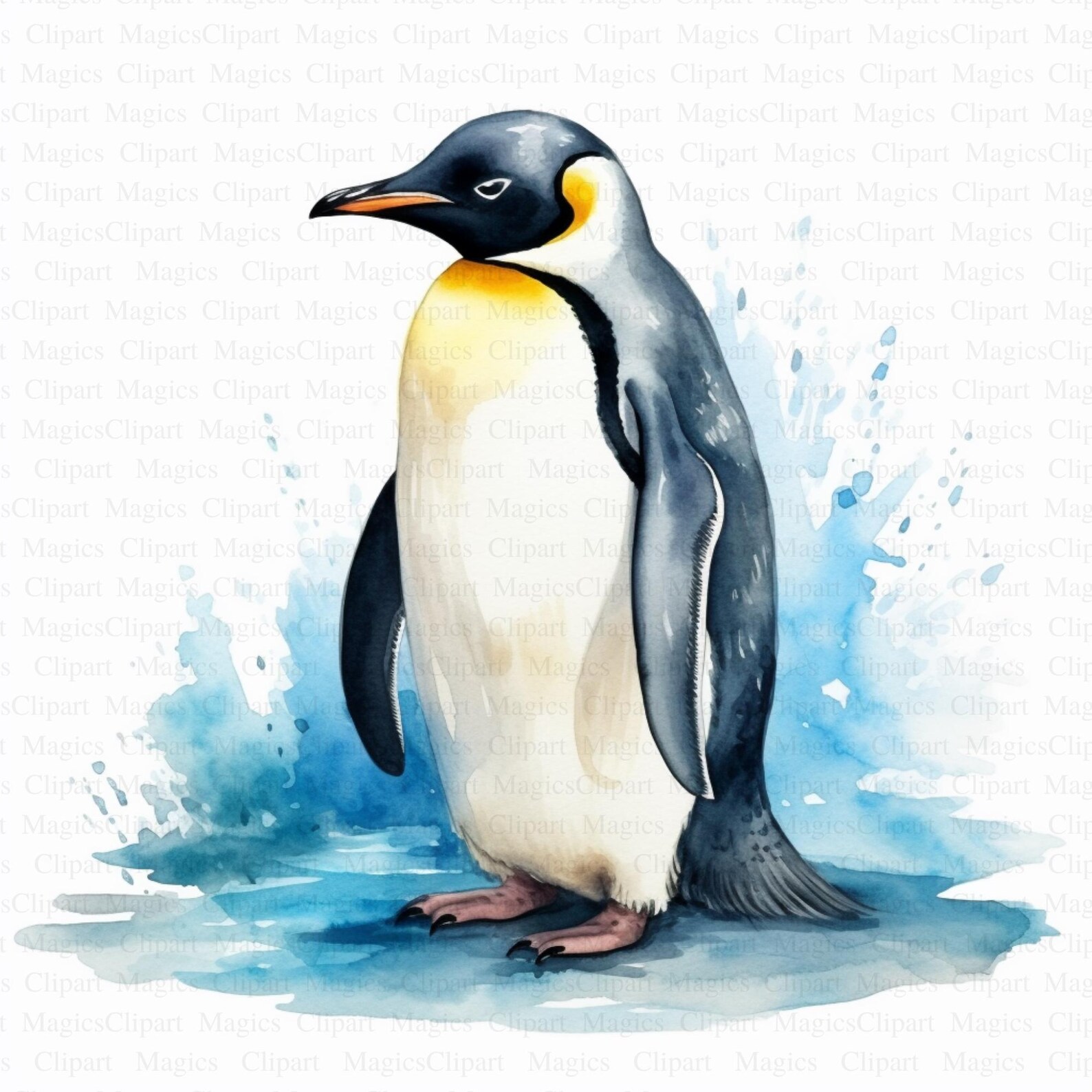 Penguin Clipart 5 High Quality Jpgs Instant Digital Download ...