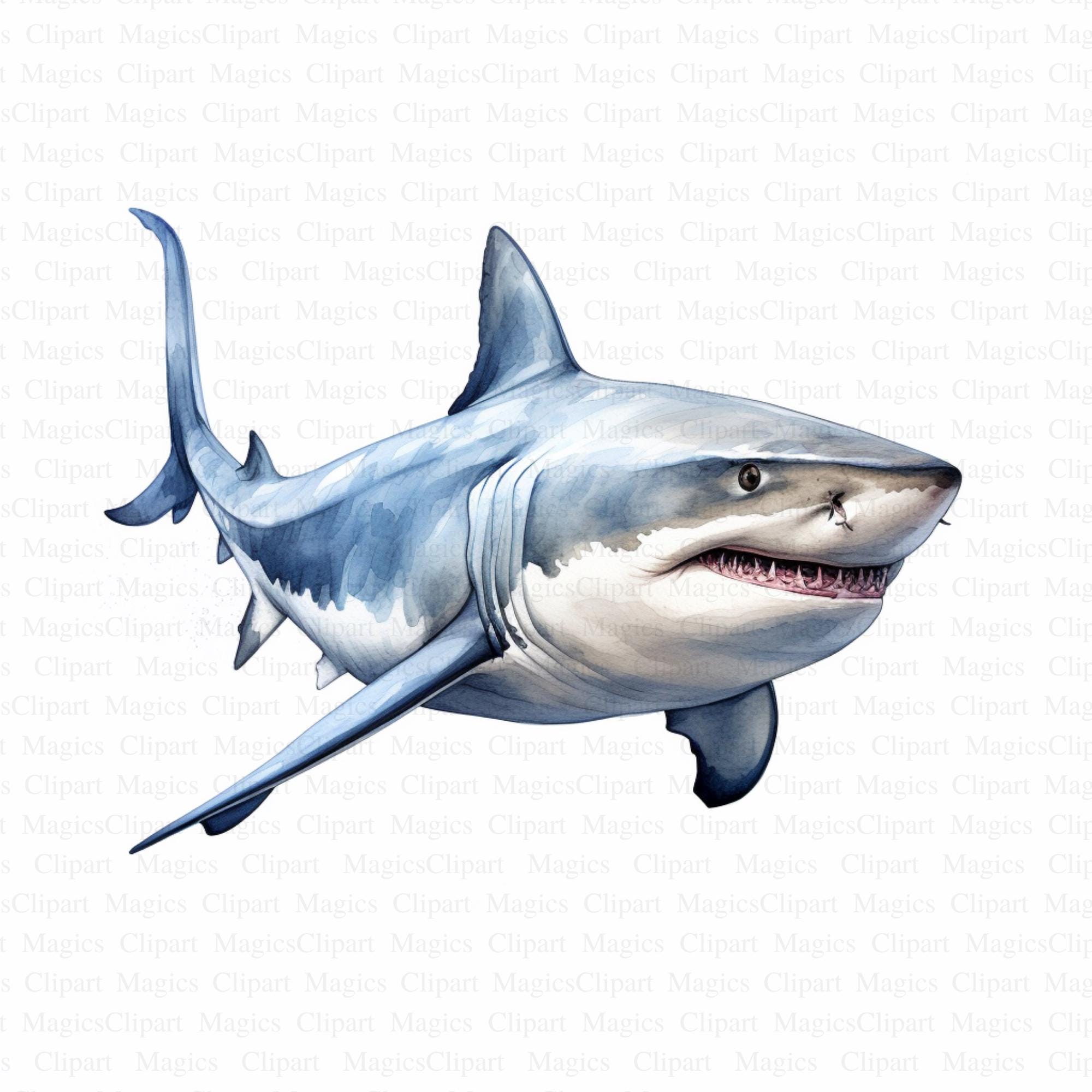 Shark Clipart 5 High Quality Jpgs Nursery Art Instant Digital Download ...