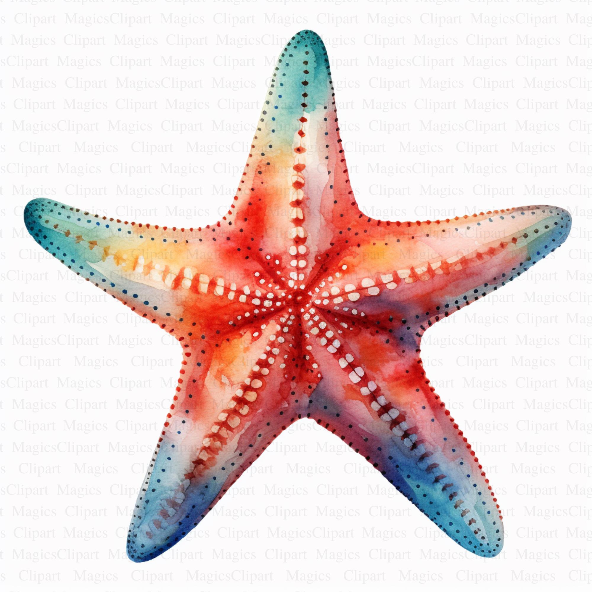 Starfish Clipart 5 High Quality Jpgs Digital Download Nursery Art Card ...