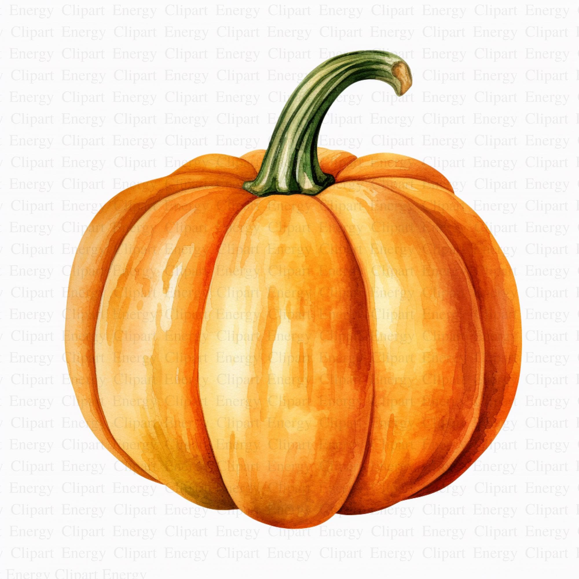 Pumpkin Clipart | 5 High Quality Jpgs | Instant Digital Download ...