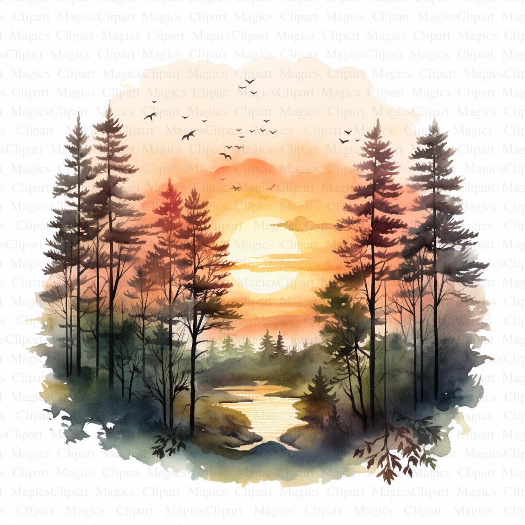 Sunset Forest Clipart 5 High Quality Jpgs Digitaldownload Watercolor ...
