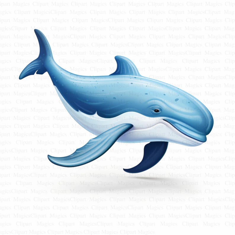 Cartoon Whale Clipart 5 High Quality Jpgs Digital Download Whale ...