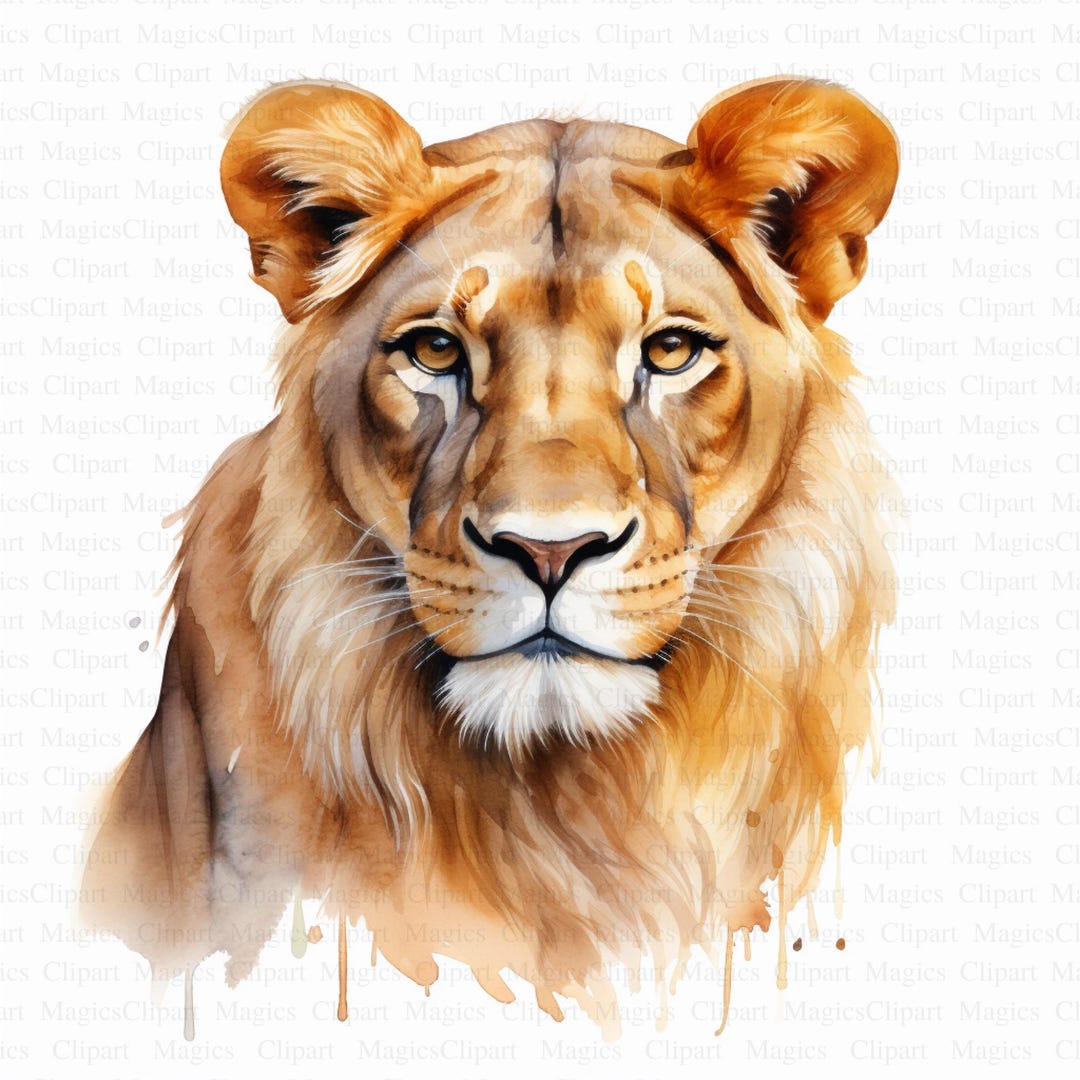 Proud Lioness Clipart | 5 High Quality Jpgs | Digital Download | Card ...