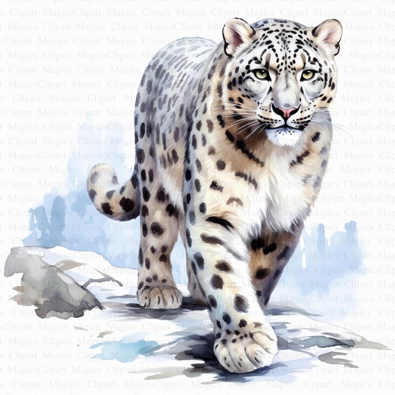 Snow Leopard Print - Etsy