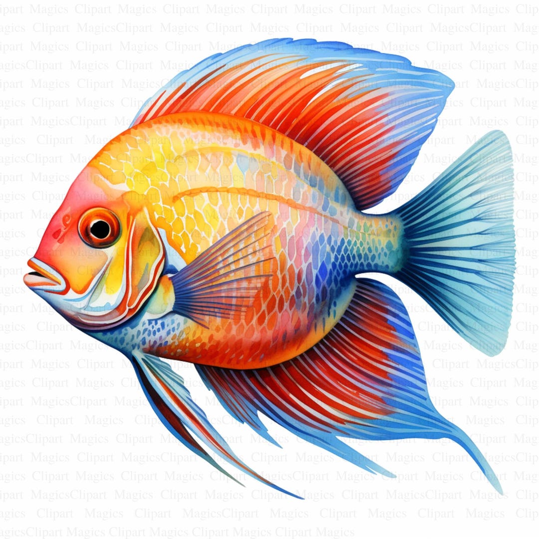 Tropical Fish Clipart 5 High Quality Jpgs Digitaldownload Art Aquarium ...
