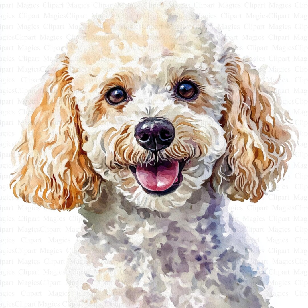 Poodle Clipart 5 High Quality Jpgs Digital Download Pudel Clipart ...