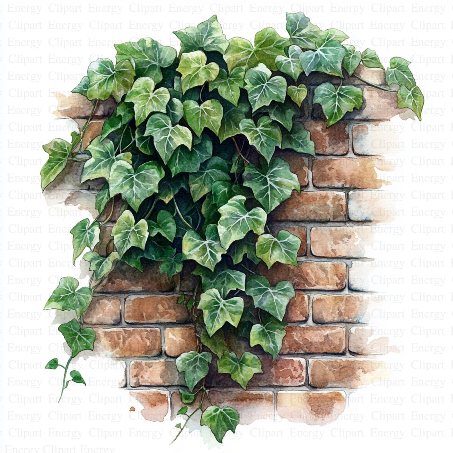 Ivy on Brick Wall Clipart 5 High Quality Jpgs Instant Digital Download ...