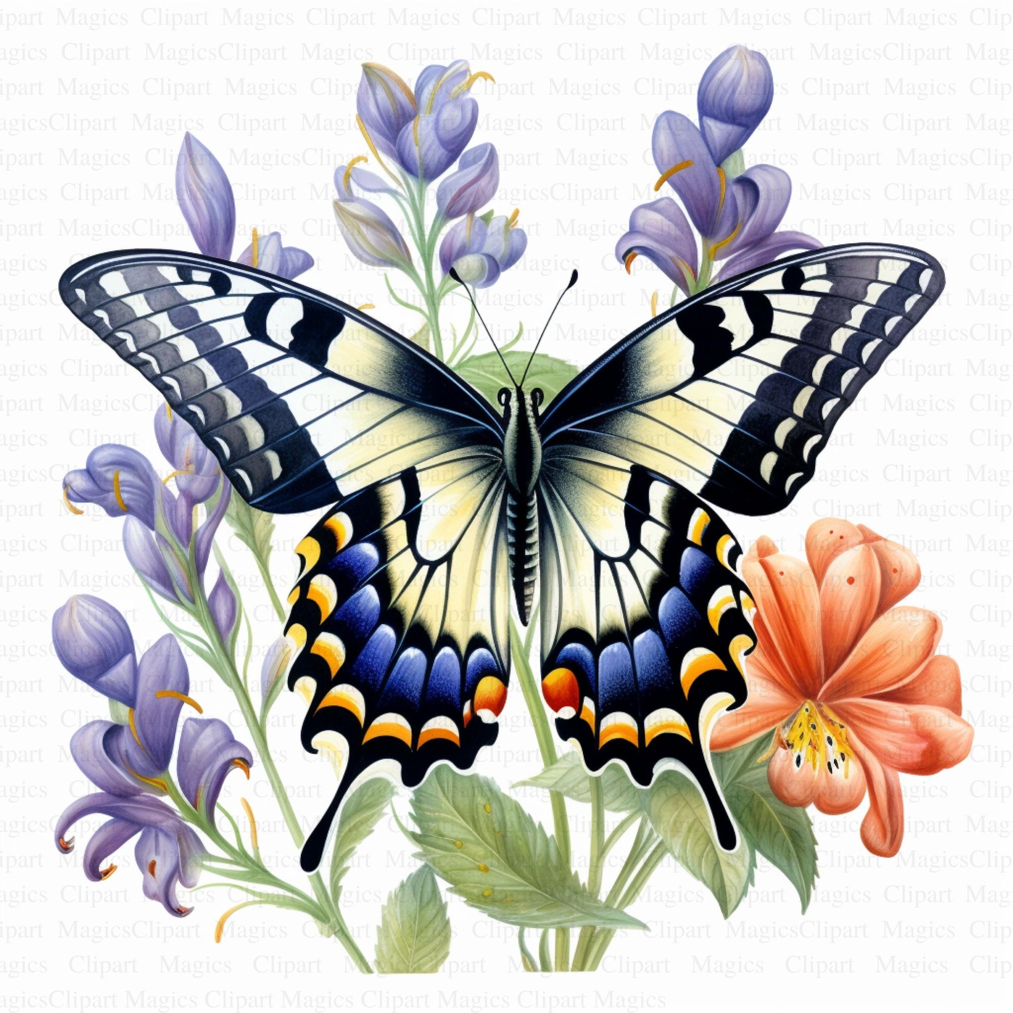Swallowtail Butterfly Clipart | Floral Nursery Art (digital Download ...