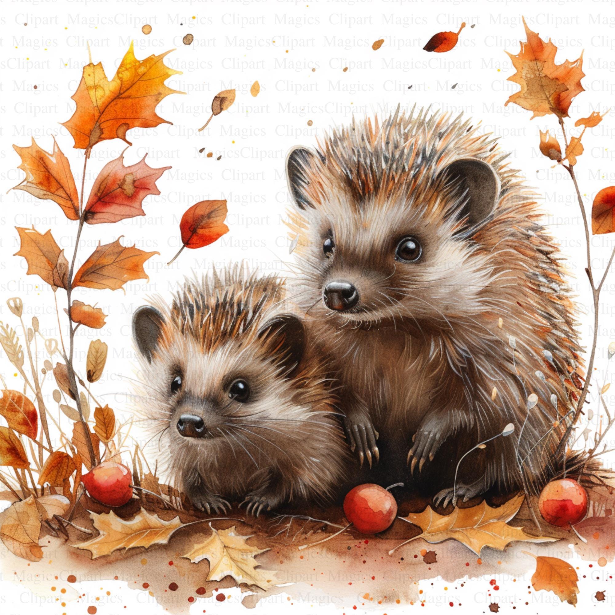 Hedgehogs in Autumn Leaves Clipart 5 High Quality Jpgs Digital Download ...