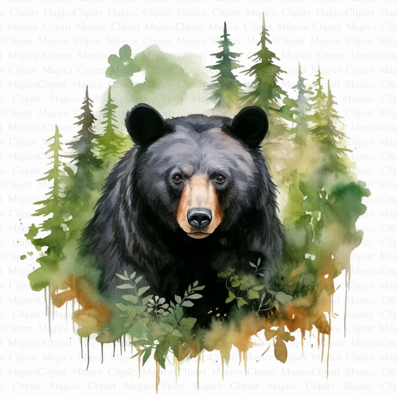Watercolor Black Bear Clipart 5 High Quality Jpgs Instant Digital ...
