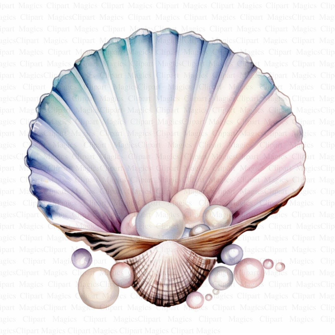 Sea Shells Pearls Clipart | 5 High Quality Jpgs | Digital Download ...