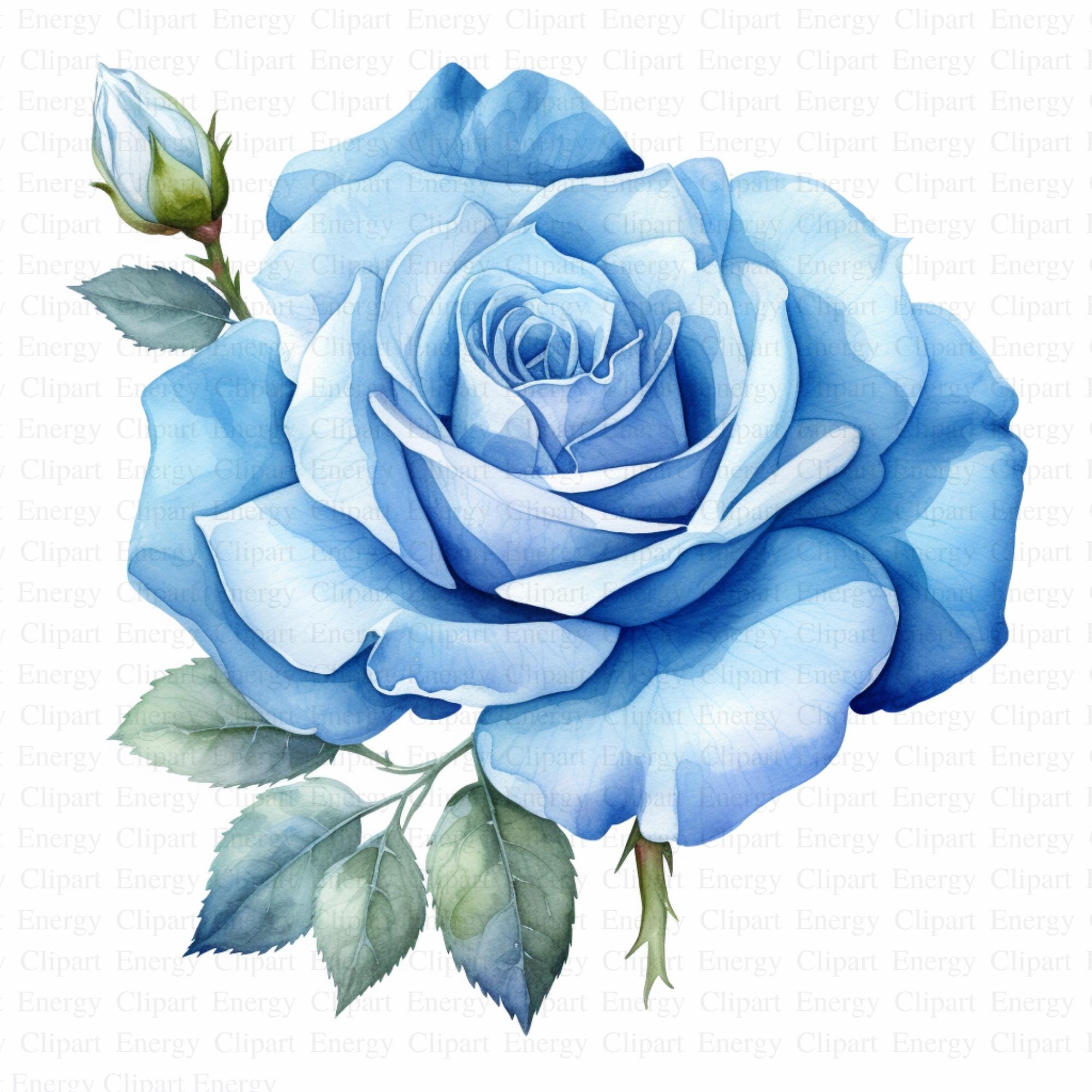 Blue Rose Clipart | 5 High Quality Jpgs | Digital Download ...