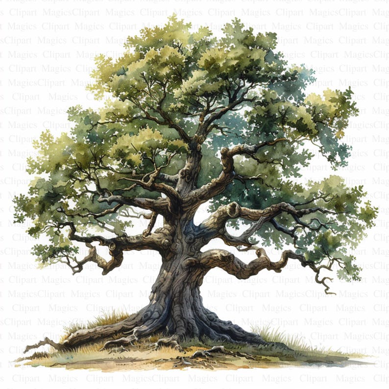 Oak Trees Clipart | 5 High Quality Jpgs | Digital Download | Card ...