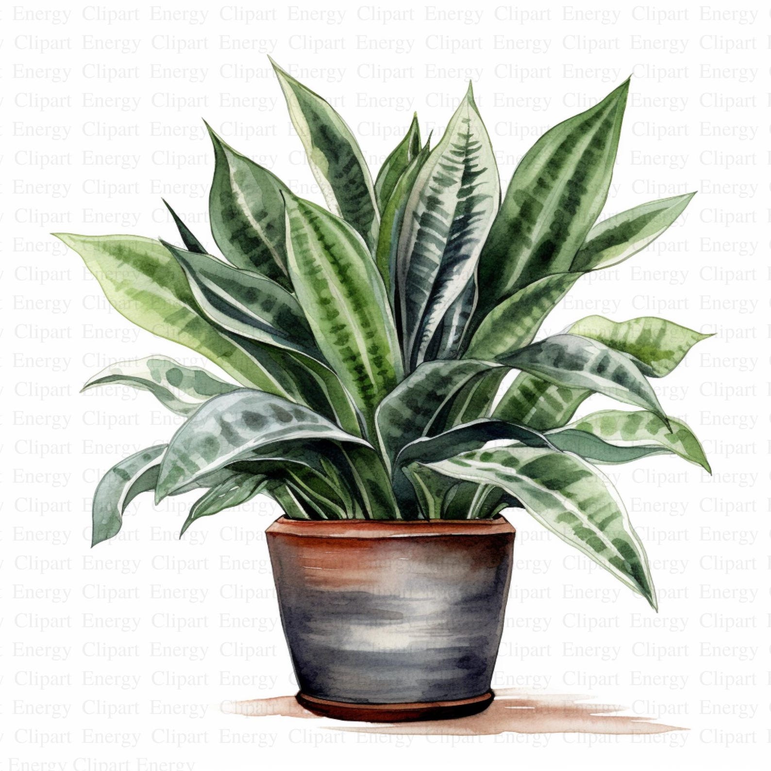 Plant Pot Clipart 5 High Quality Jpgs Digitaldownload Potted Plants ...