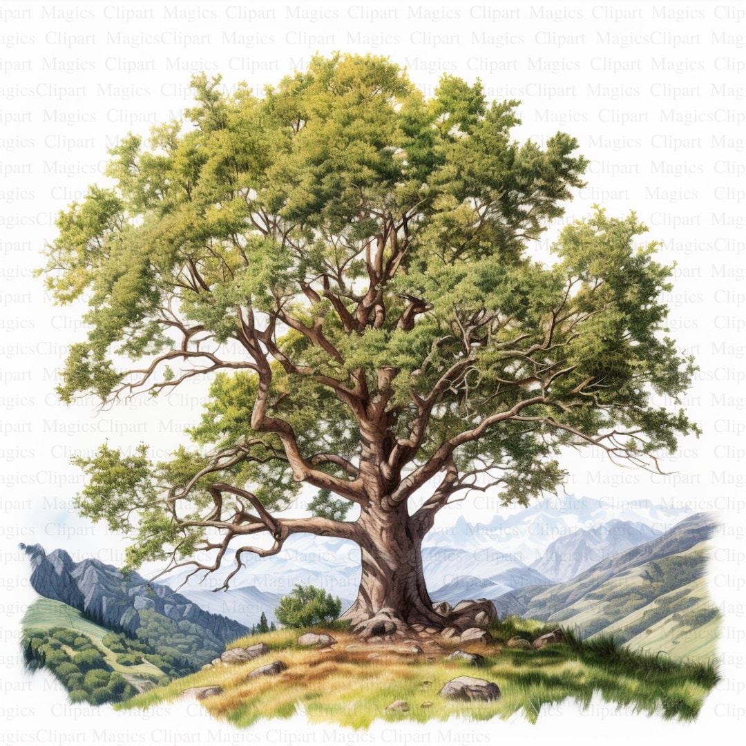Tree Clipart | 5 High Quality Jpgs | Digital Download | Tree ...