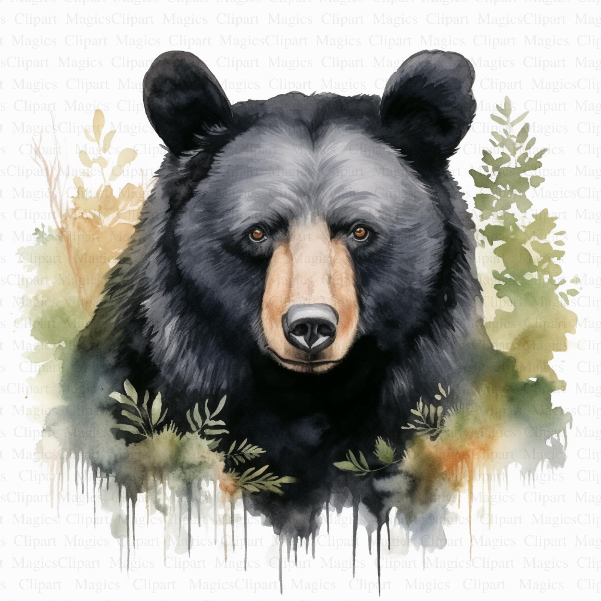 Watercolor Black Bear Clipart 5 High Quality Jpgs Instant Digital ...