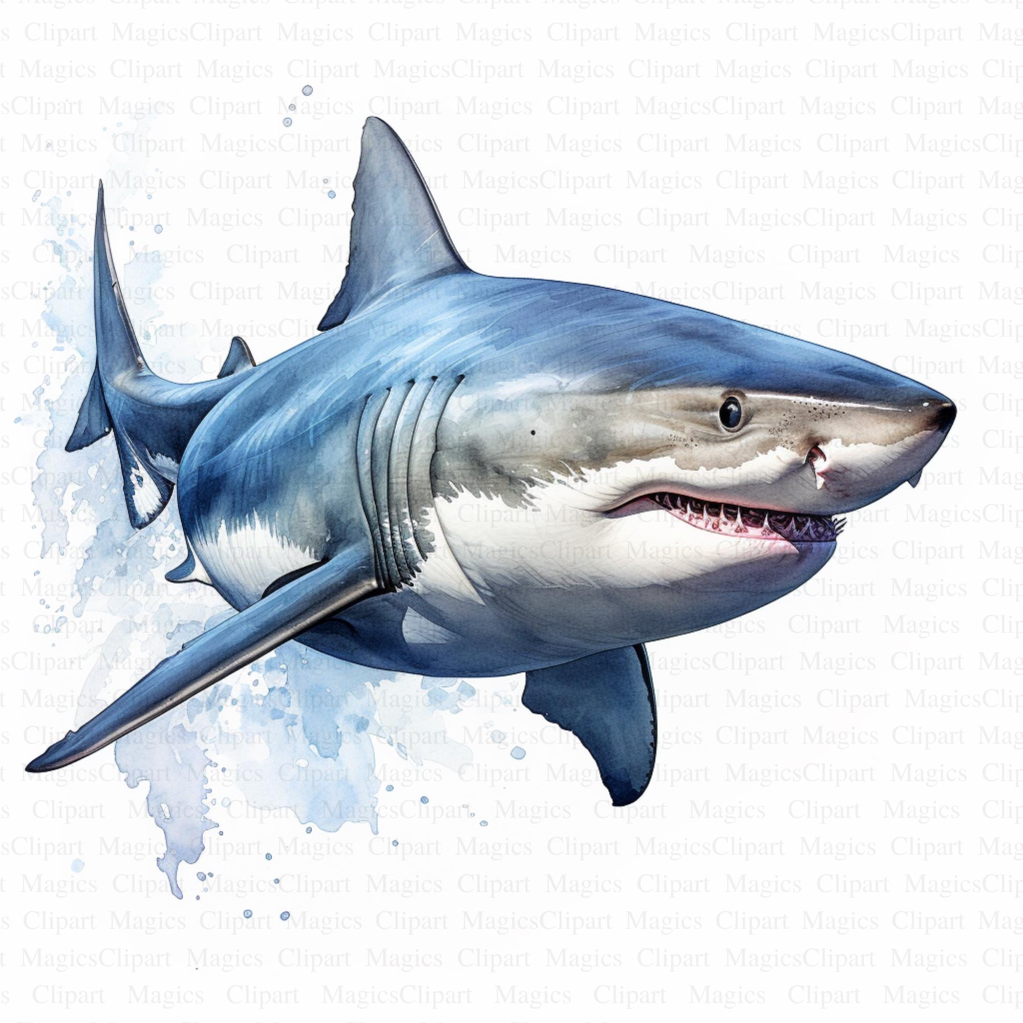 Shark Clipart | 5 High Quality Jpgs | Nursery Art | Instant Digital ...
