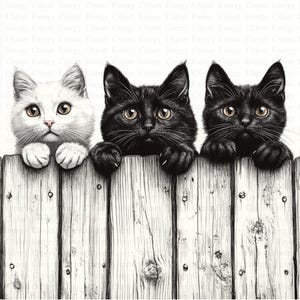 Cats on Fence Clipart | 5 High Quality Jpgs | Instant Digital Download ...