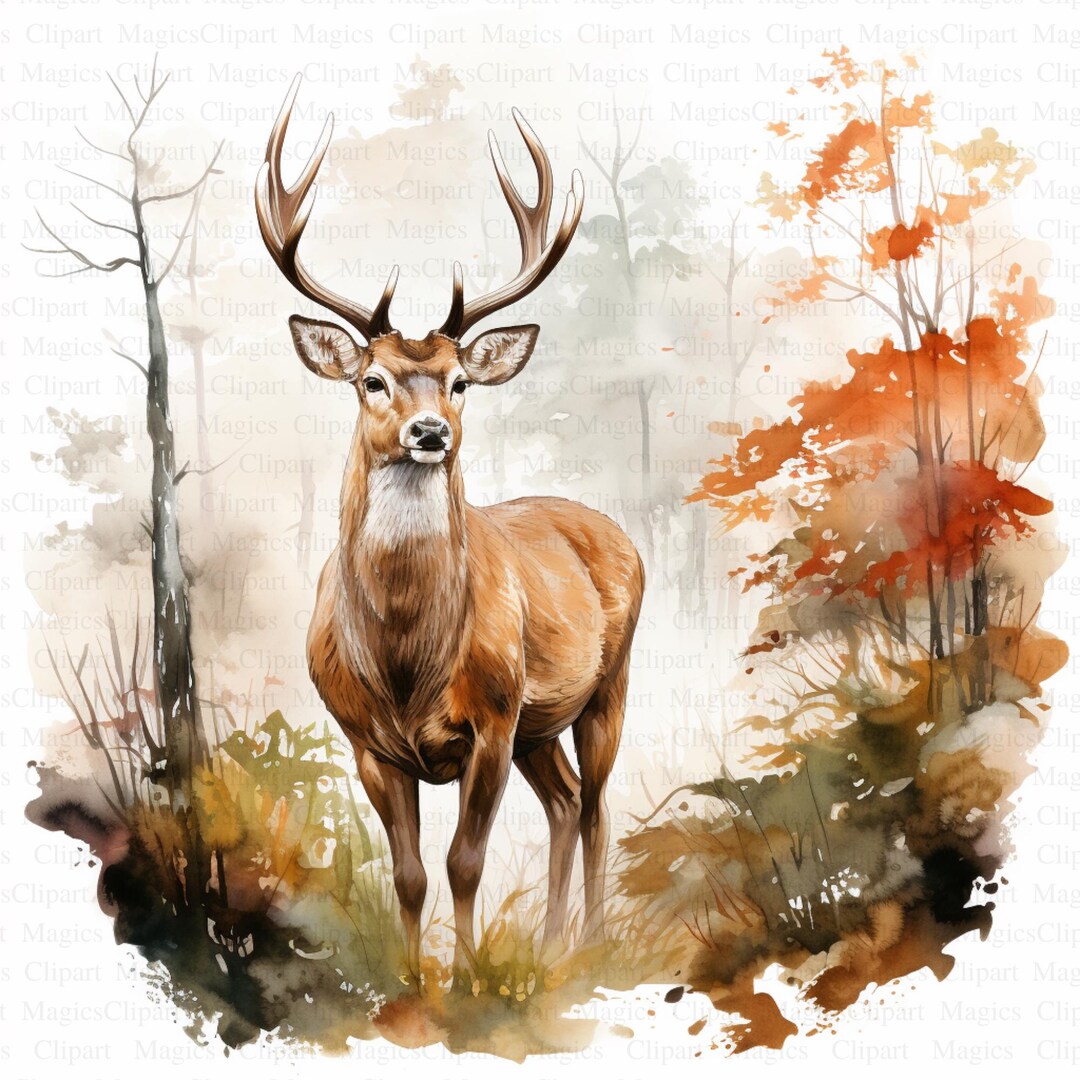 Deer in a Forest Clipart | 5 High Quality Jpgs | Instant Digital ...