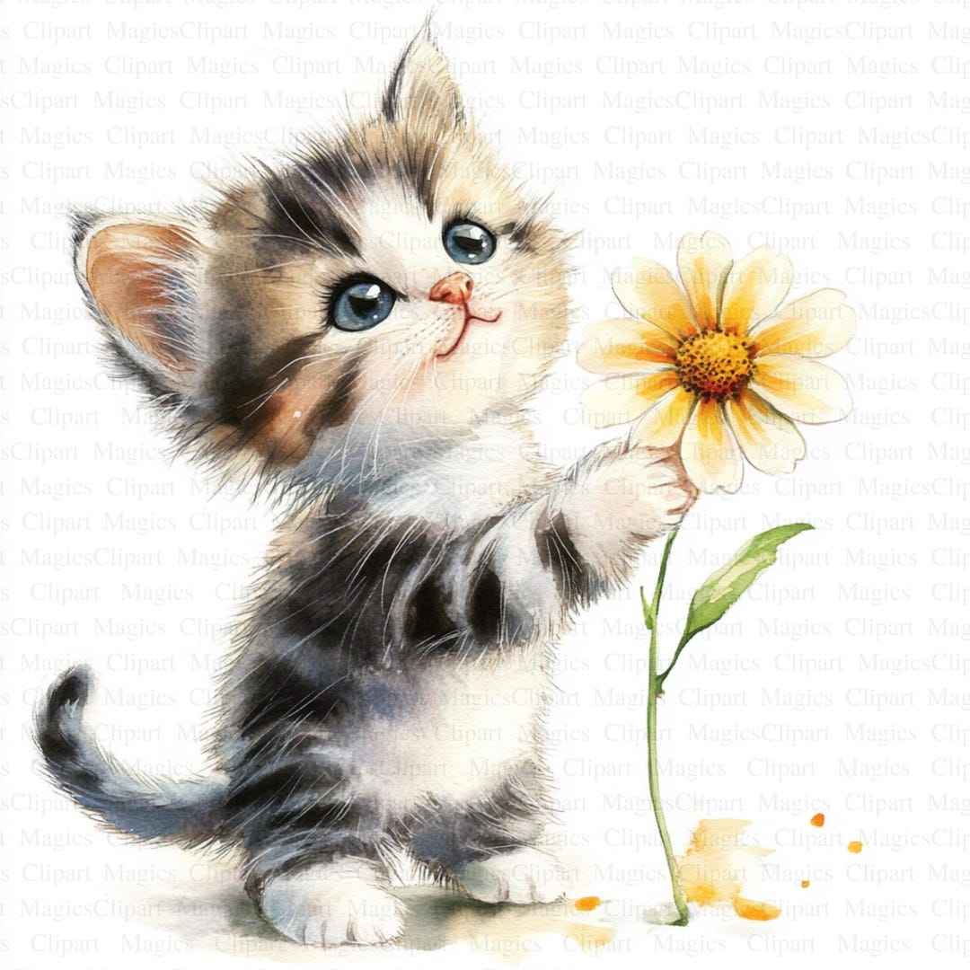 Kitten With Flowers Clipart 5 High Quality Jpgs Digitaldownload Paper ...