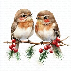 Various Christmas Birds Clipart Robin 5 High Quality Jpgs Digital ...