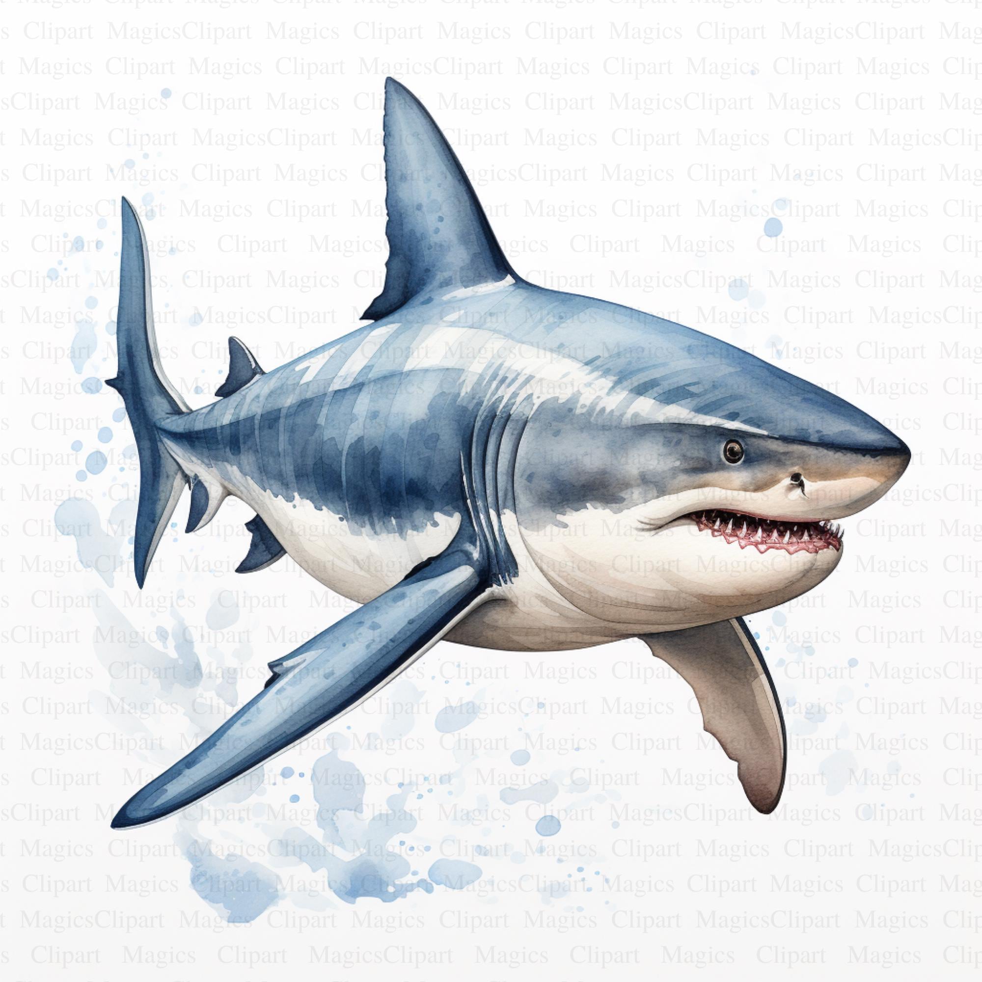 Shark Clipart | 5 High Quality Jpgs | Nursery Art | Instant Digital ...