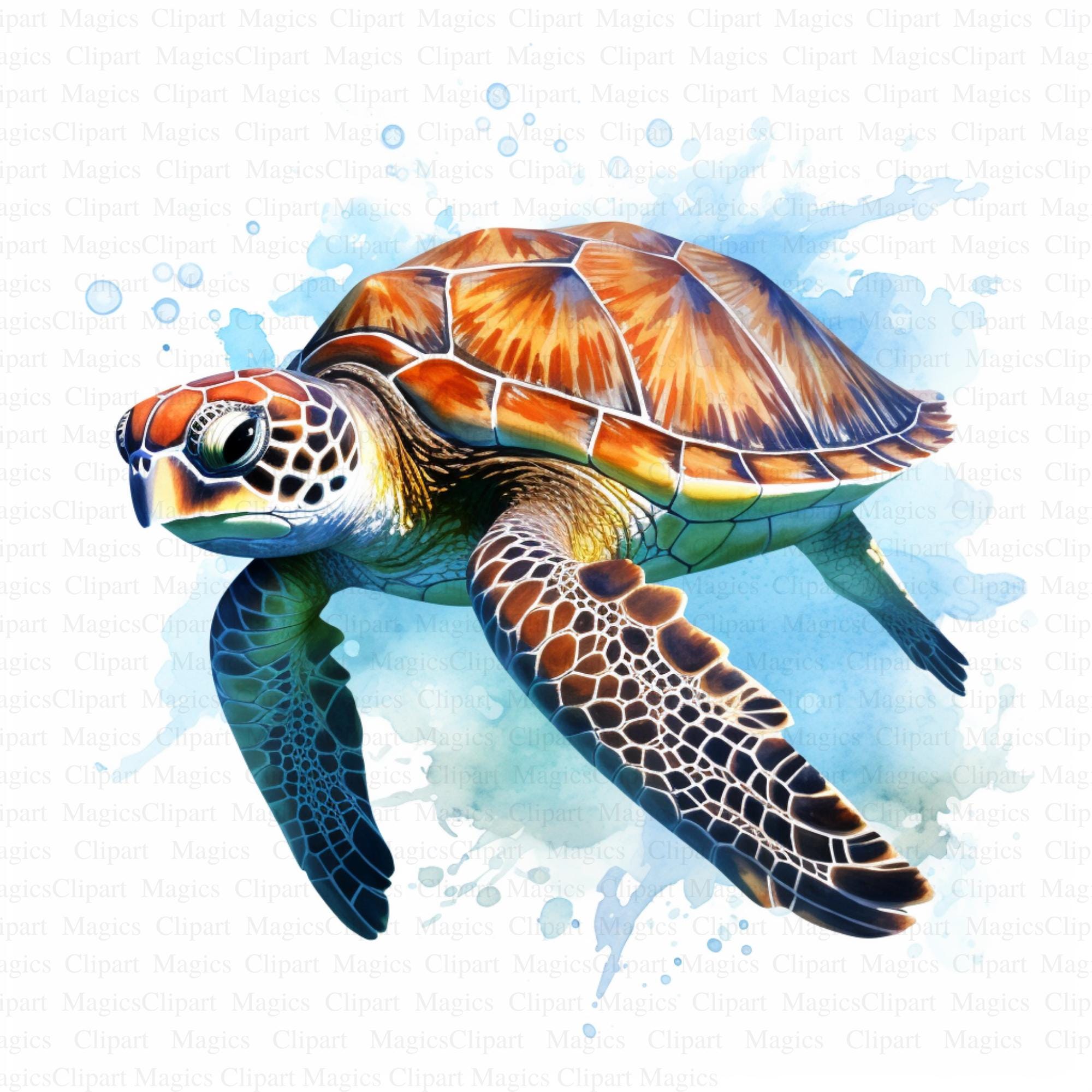 Sea Turtle Watercolor Clipart | Ocean Jpgs (digital Download) - Etsy