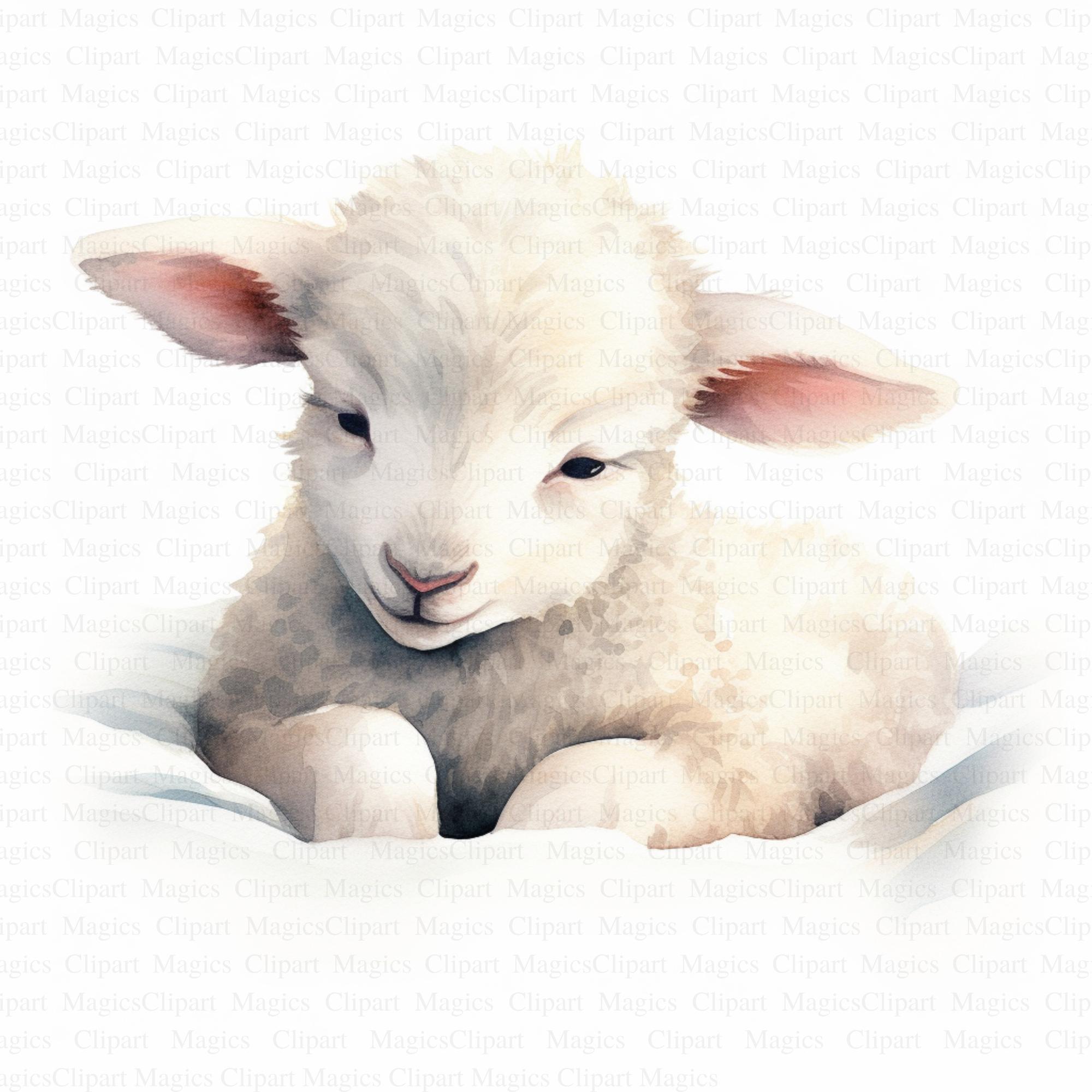 Cute Lamb Clipart 5 High Quality Jpgs Digital Download Art Watercolor ...