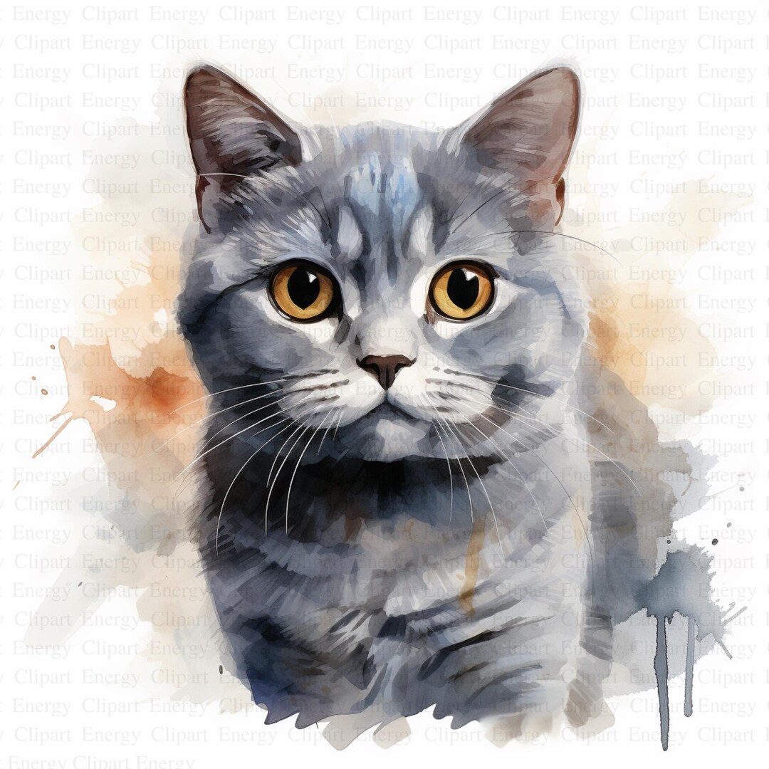 British Shorthair Cats Clipart 5 High Quality Jpgs Digitaldownload ...