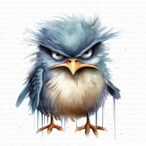 Grumpy Birds Clipart 5 High Quality Jpgs Digitaldownload Cute Fluffy ...