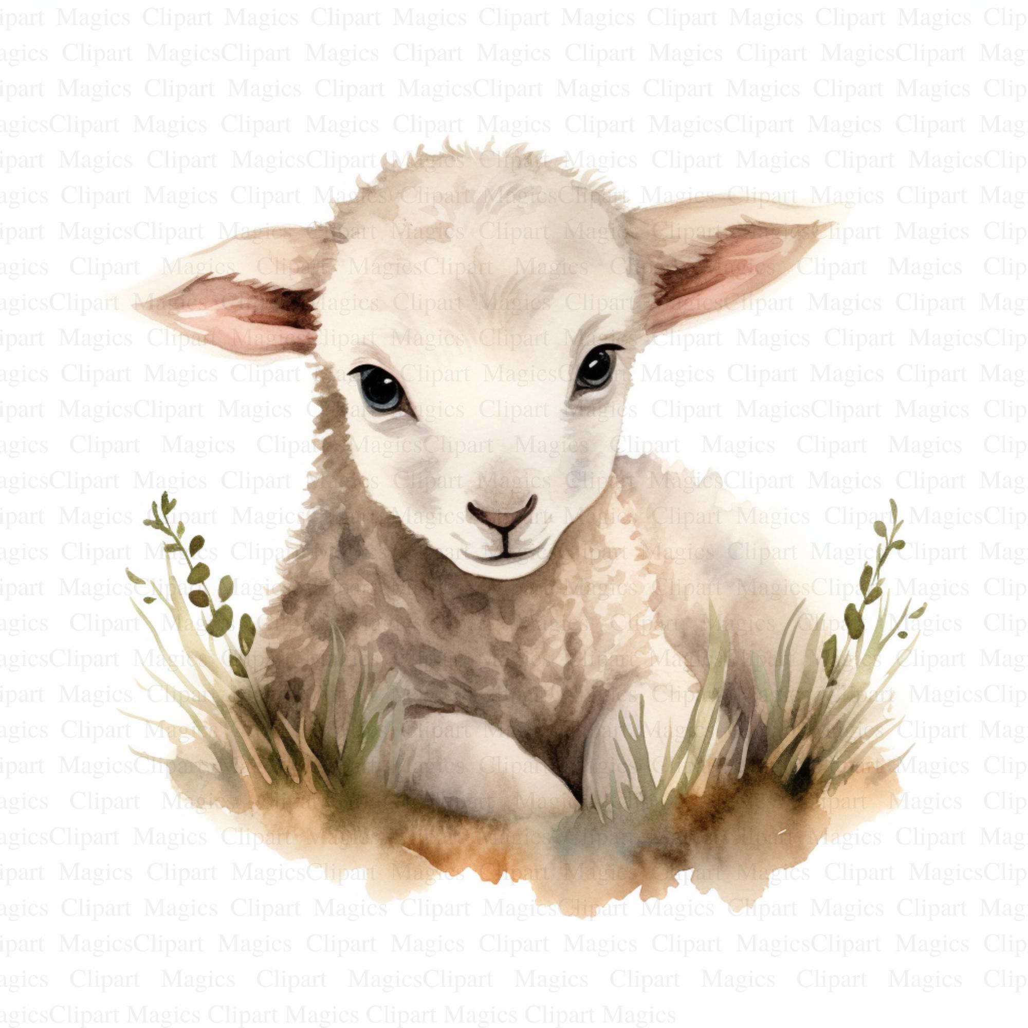 Cute Lamb Clipart | 5 High Quality Jpgs | Digital Download | Watercolor ...