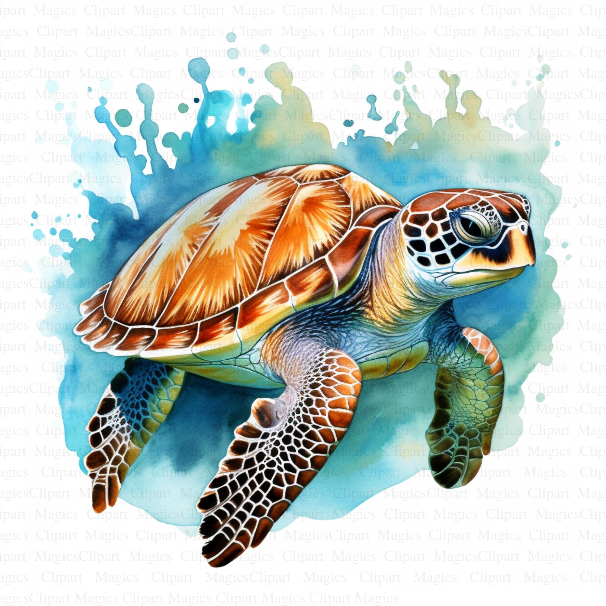 Sea Turtle Clipart 5 High Quality Jpgs Digitaldownload Turtle Vector ...
