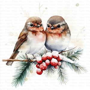 Various Christmas Birds Clipart Robin 5 High Quality Jpgs Digital ...