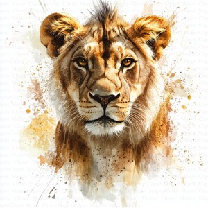 Lioness Clipart | 5 High Quality Jpgs | Digital Download | Watercolor ...