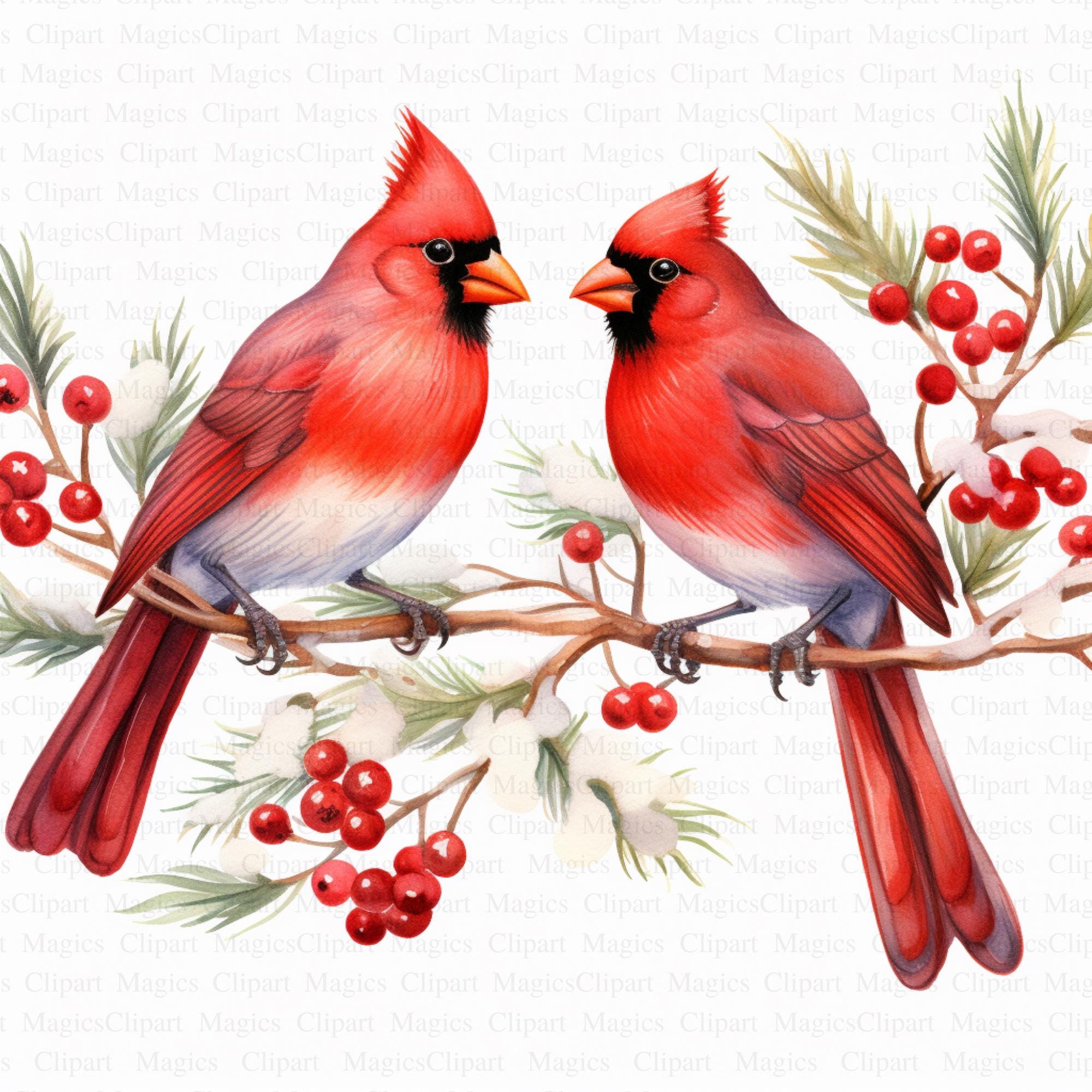 Winter Red Cardinals Clipart 5 High Quality Jpgs Digital Download Card ...