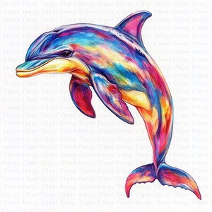 Colorful Dolphins Clipart 5 High Quality Jpgs Digital Download ...